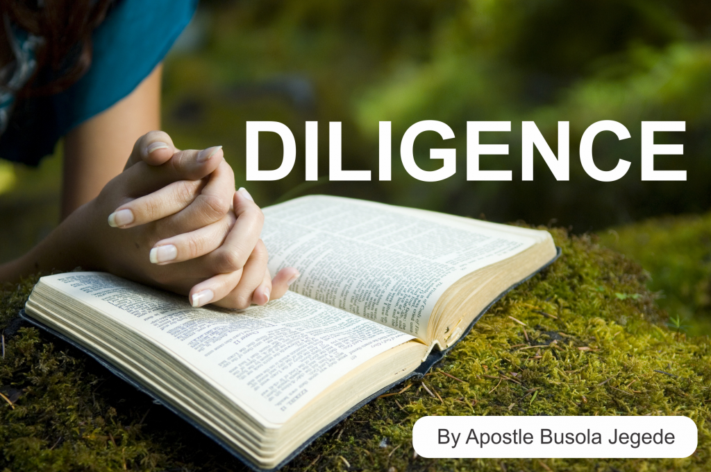 DILIGENCE Daughters Of Destiny diligence-daughters-of-destiny